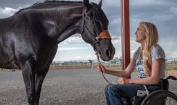 Walk Ride Rodeo Review, Walk Ride Rodeo Movie Review Ratings