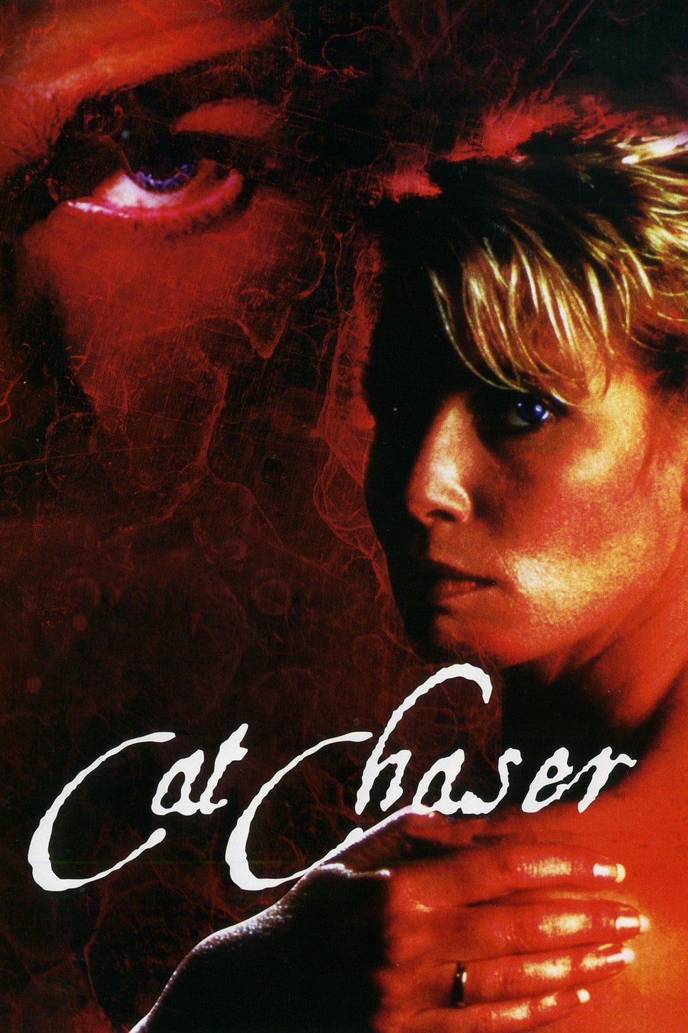 Cat Chaser Movie Streaming Online Watch