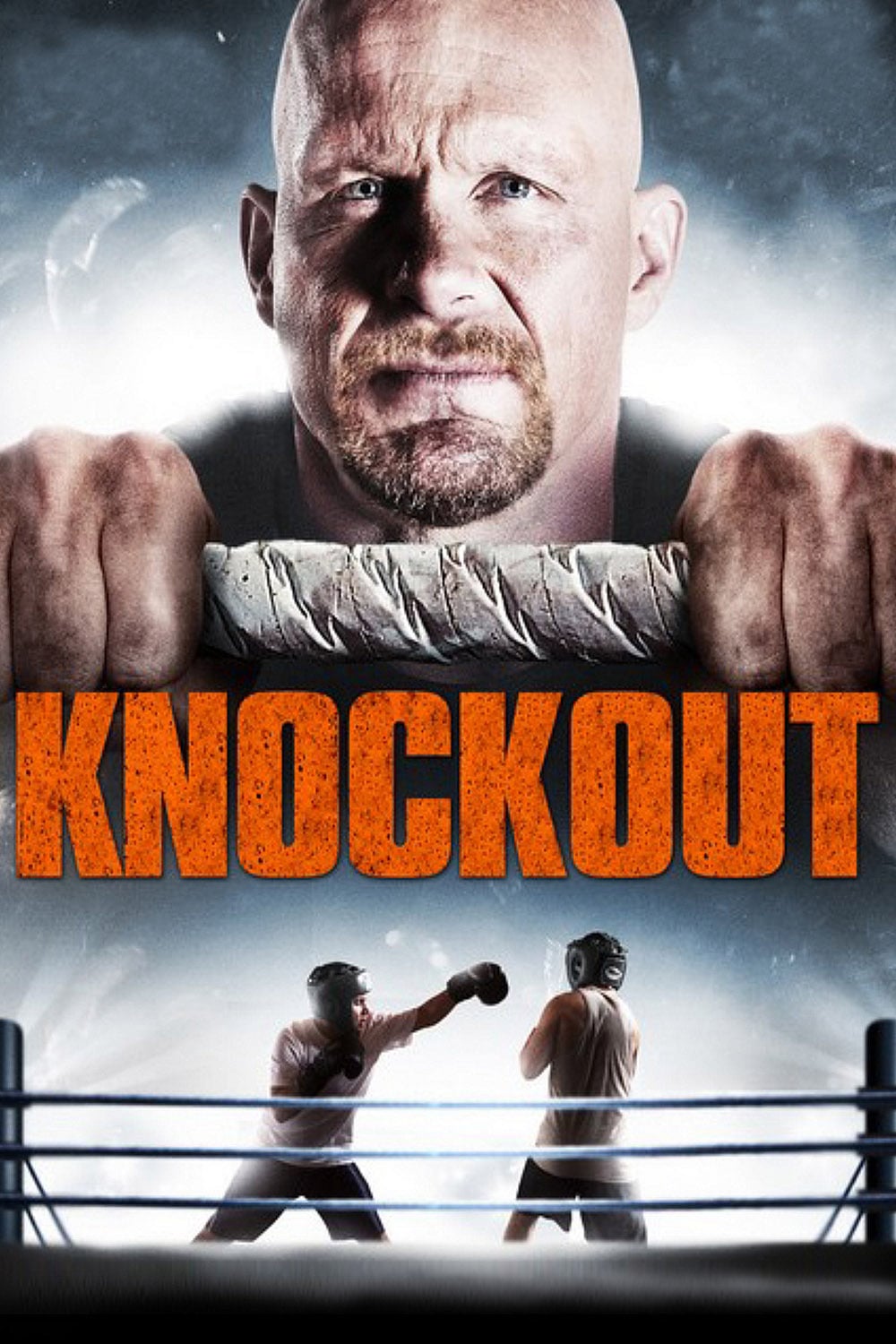 Born to Fight Movie Streaming Online Watch