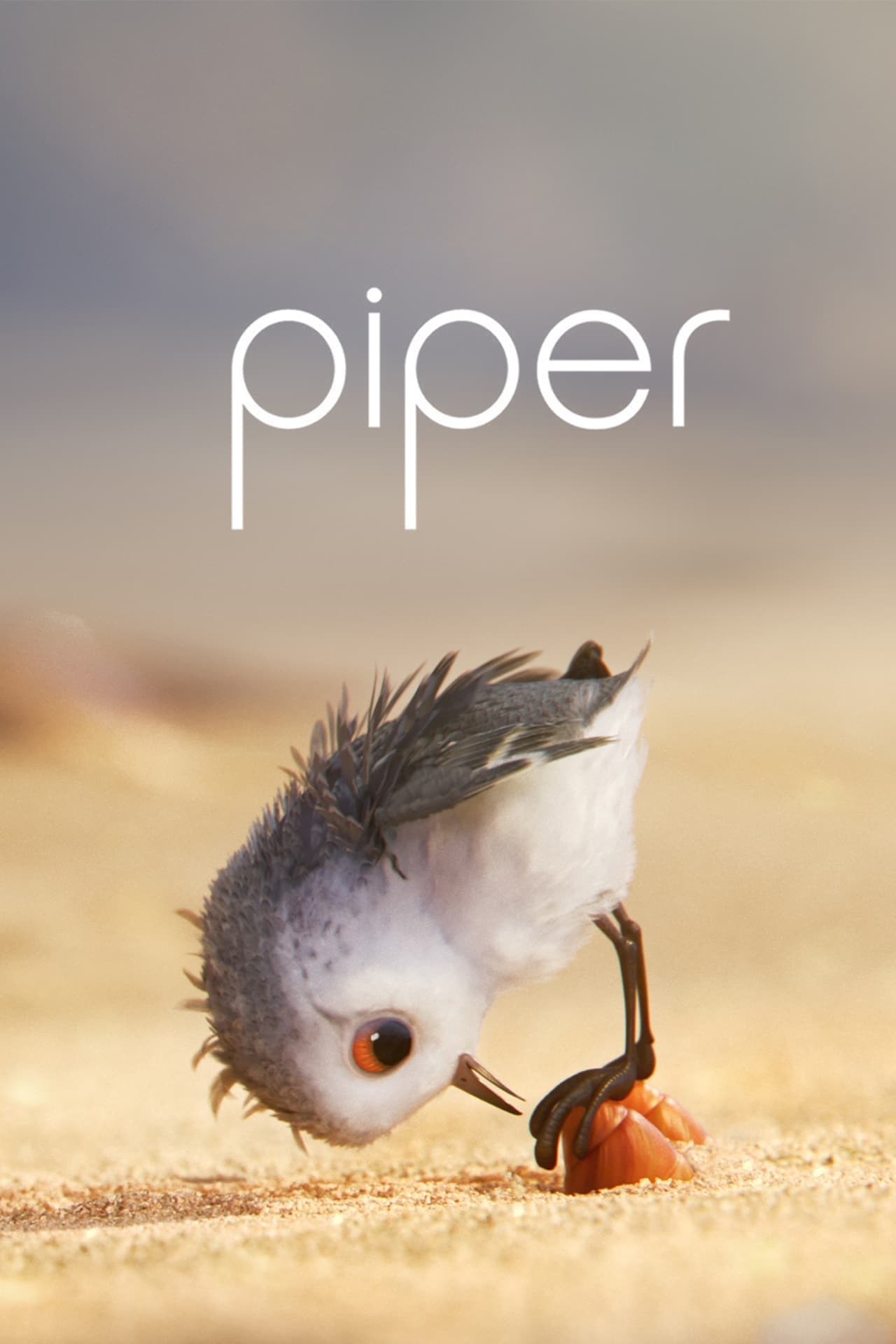 Piper Movie Streaming Online Watch on Disney Plus Hotstar