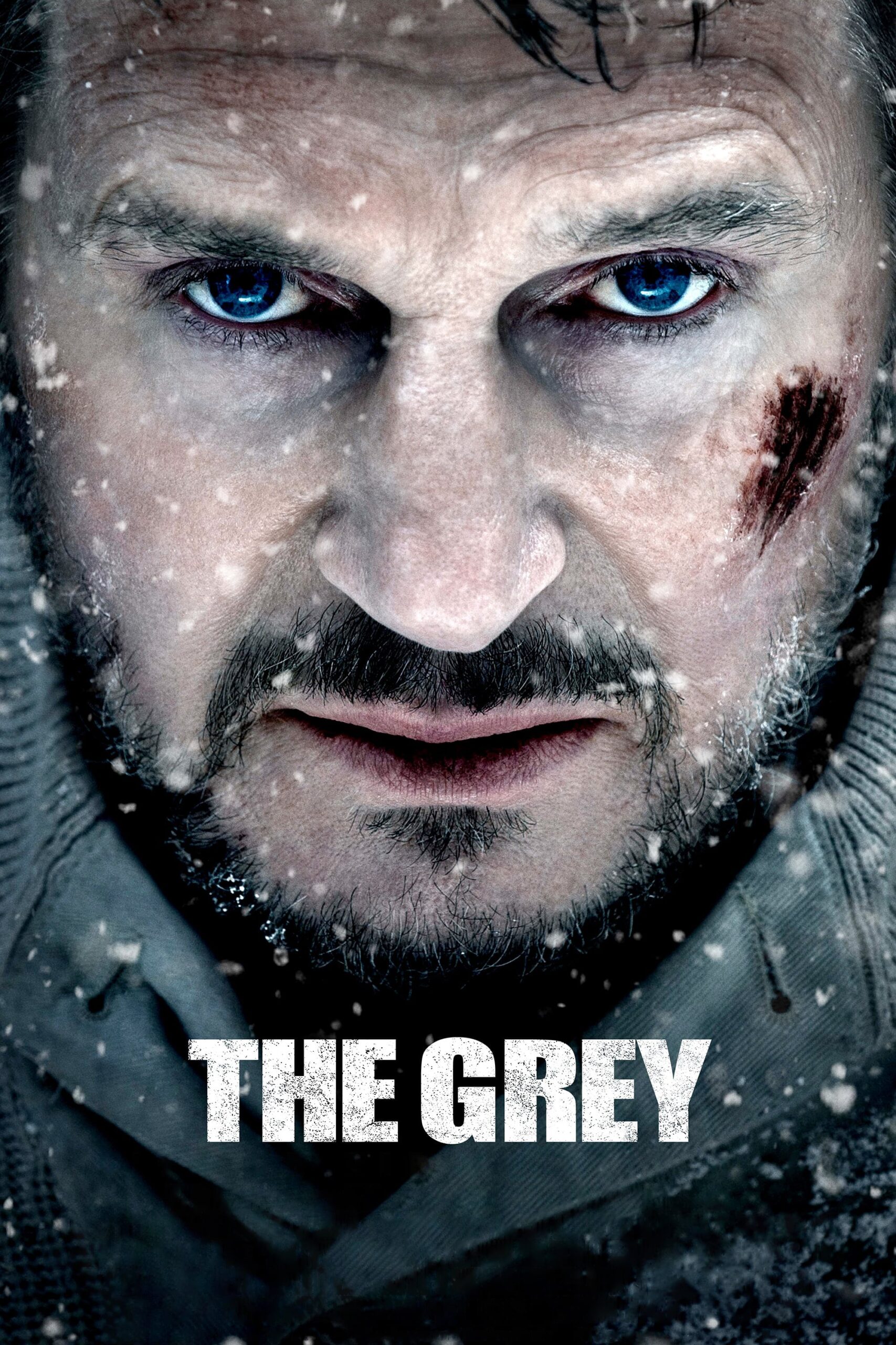 The Grey Movie Streaming Online Watch on Hungama, Jio Cinema, Lionsgate ...