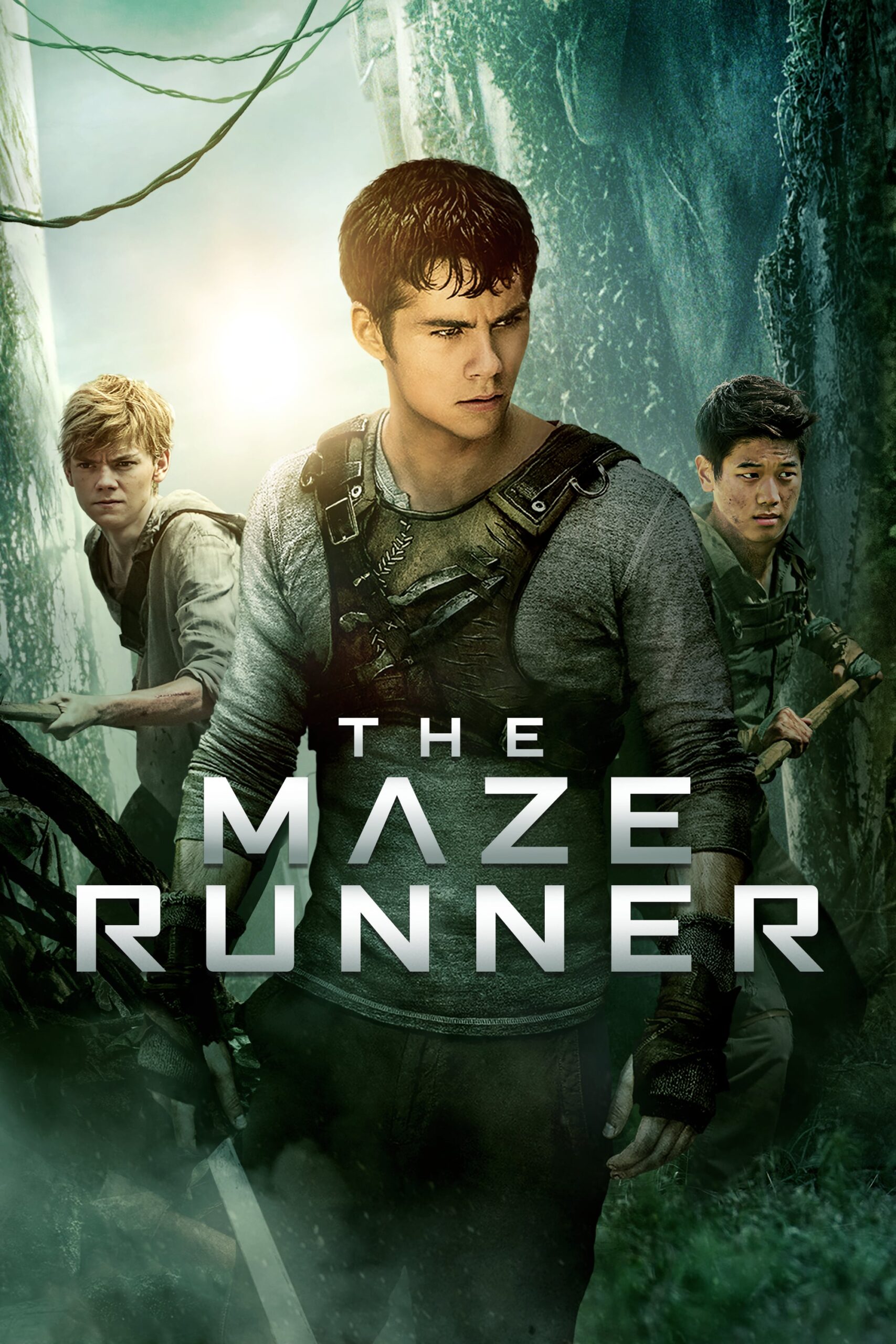 The Maze Runner Movie Streaming Online Watch on Disney Plus Hotstar ...