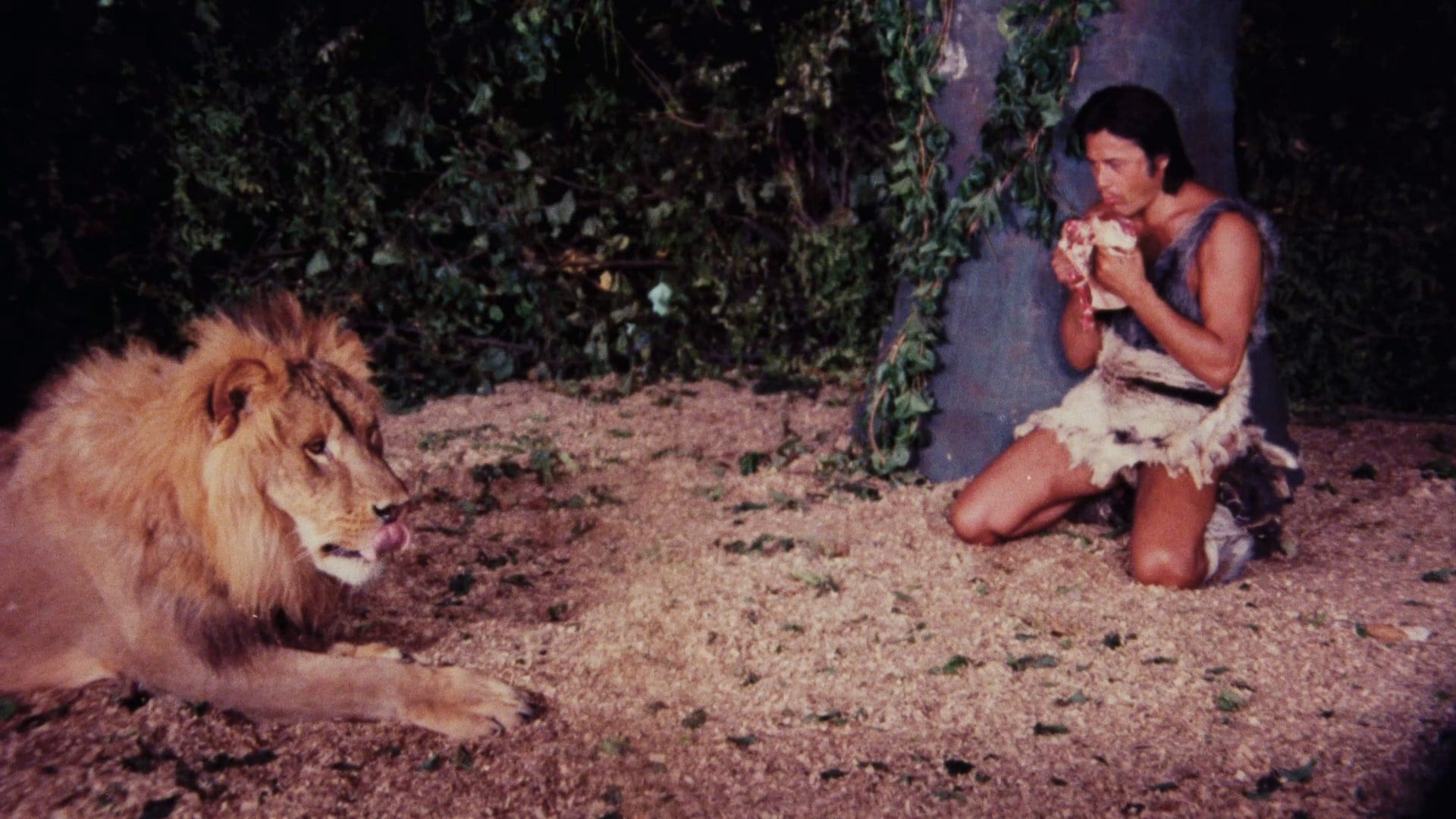 Lionman Turkish Movie Streaming Online Watch