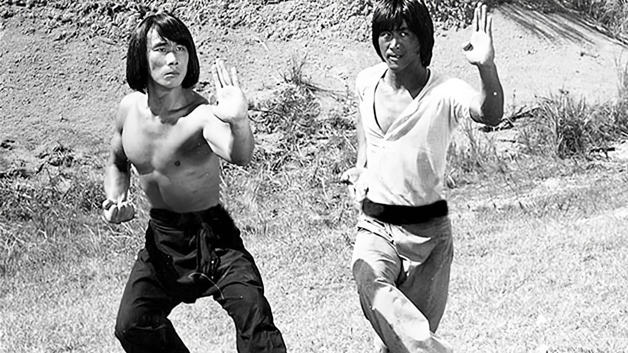 Master Killers Mandarin Movie Streaming Online Watch