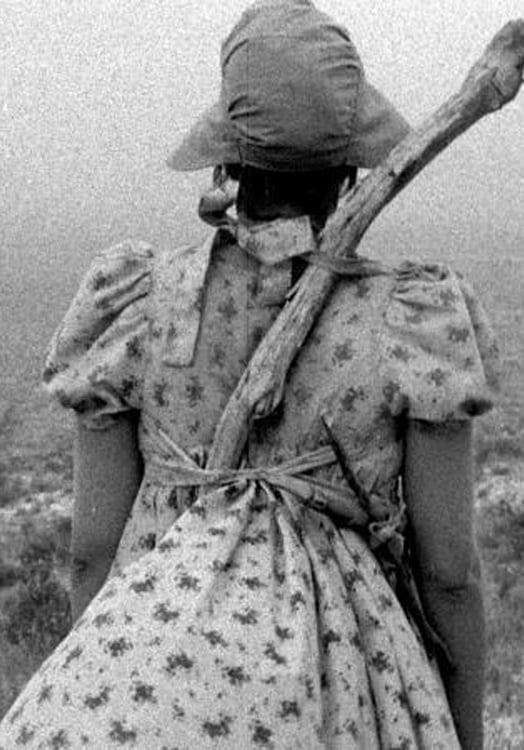 Menuet Movie Streaming Online Watch