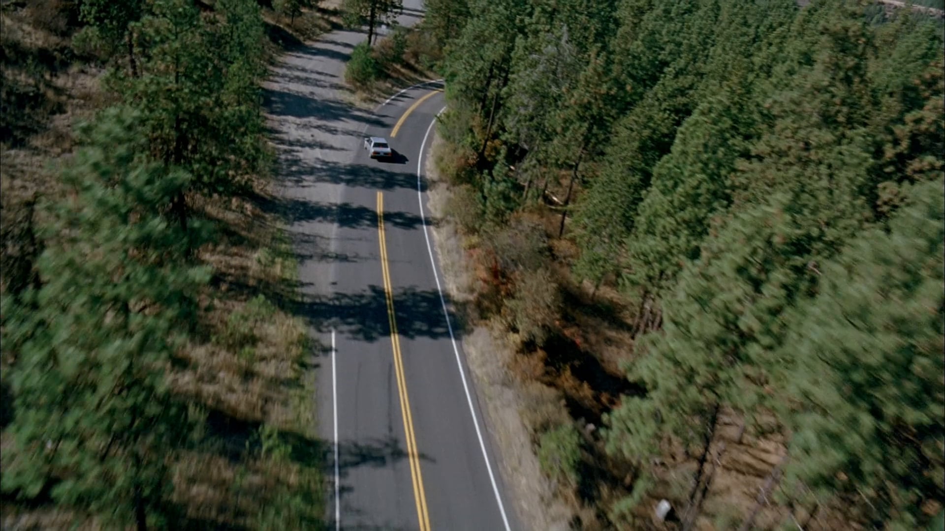 Shadow of Fear Movie Streaming Online Watch