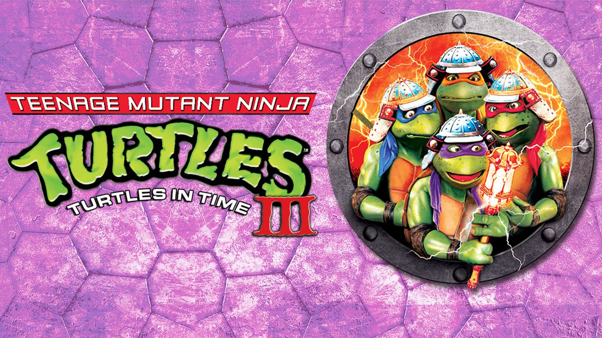 Teenage Mutant Ninja Turtles III Movie Streaming Online Watch