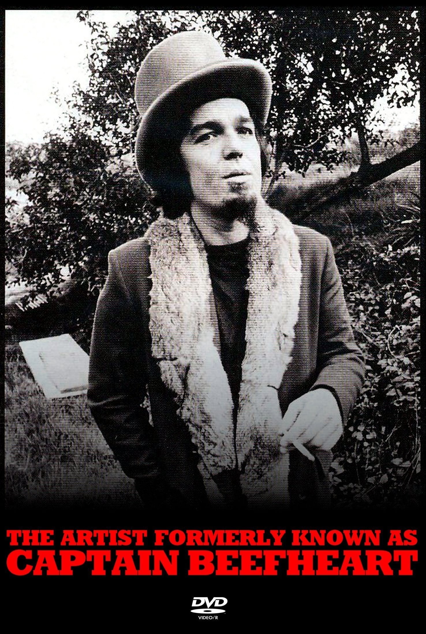 The Artist Formerly Known As Captain Beefheart Movie Streaming Online Watch