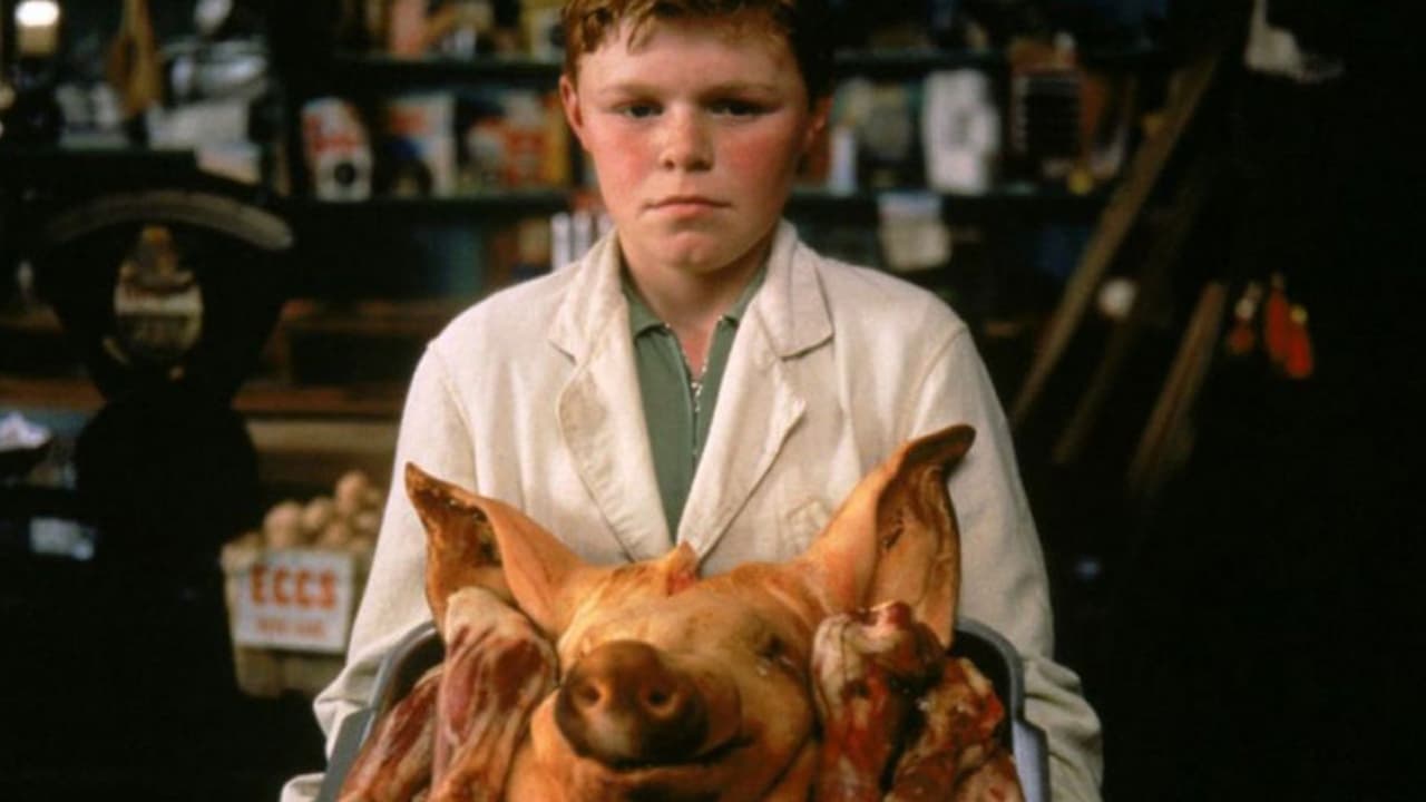 The Butcher Boy Irish Movie Streaming Online Watch