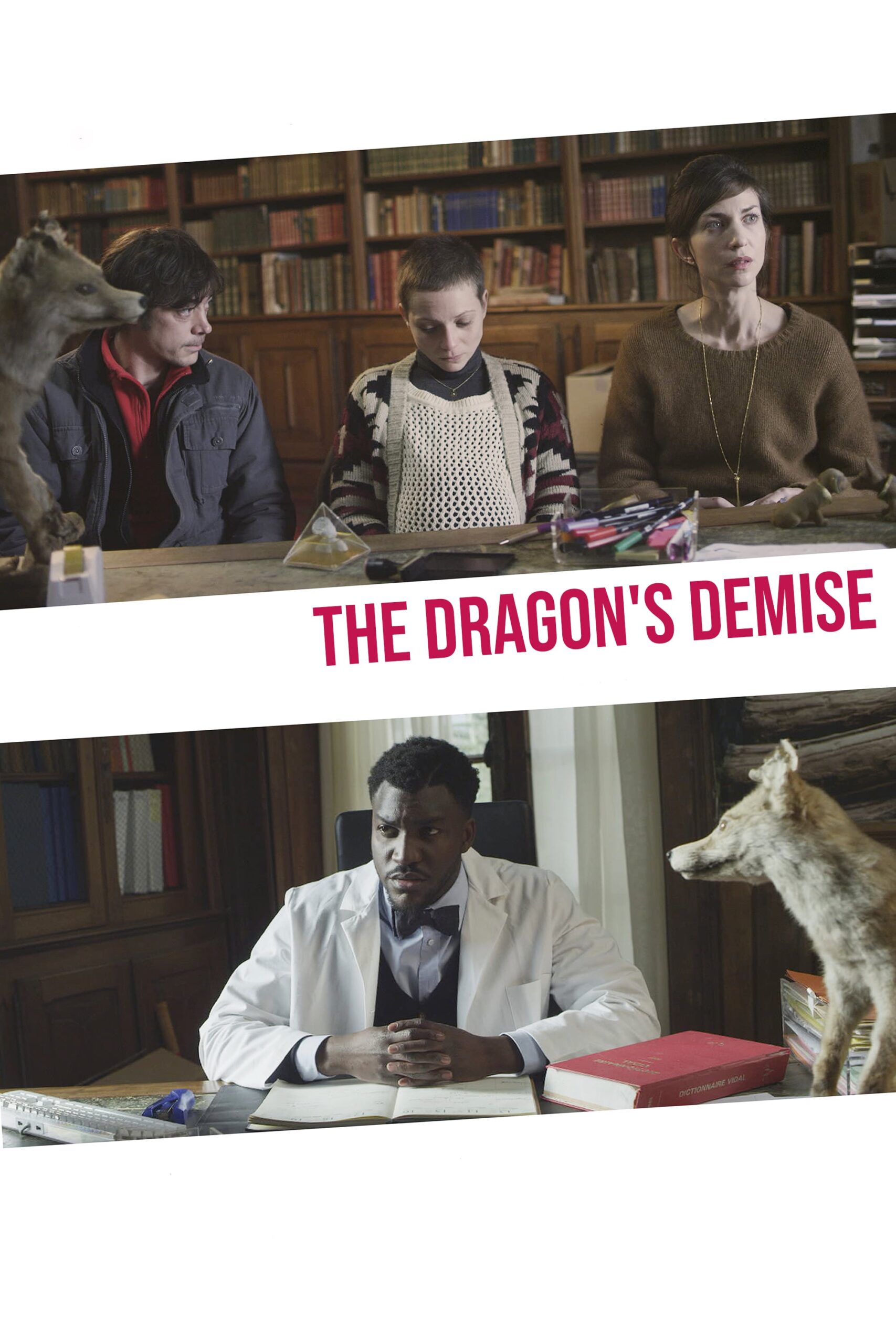 The Dragon's Demise French Movie Streaming Online Watch
