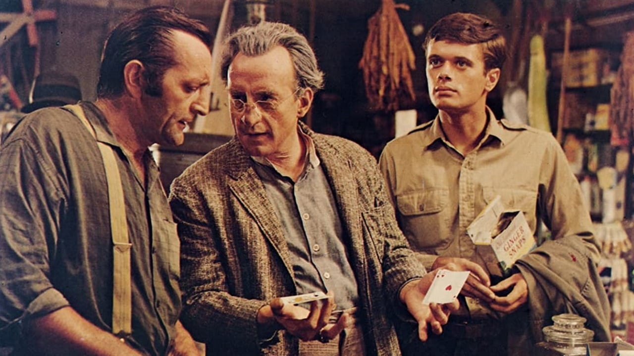 The Flim-Flam Man German Movie Streaming Online Watch