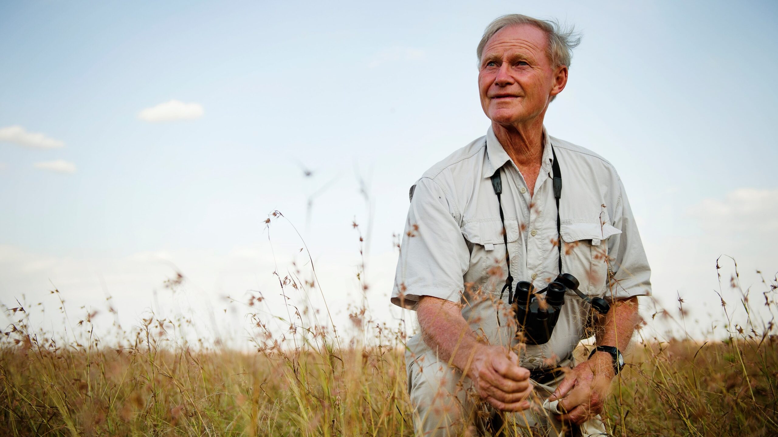 The Serengeti Rules Movie Streaming Online Watch