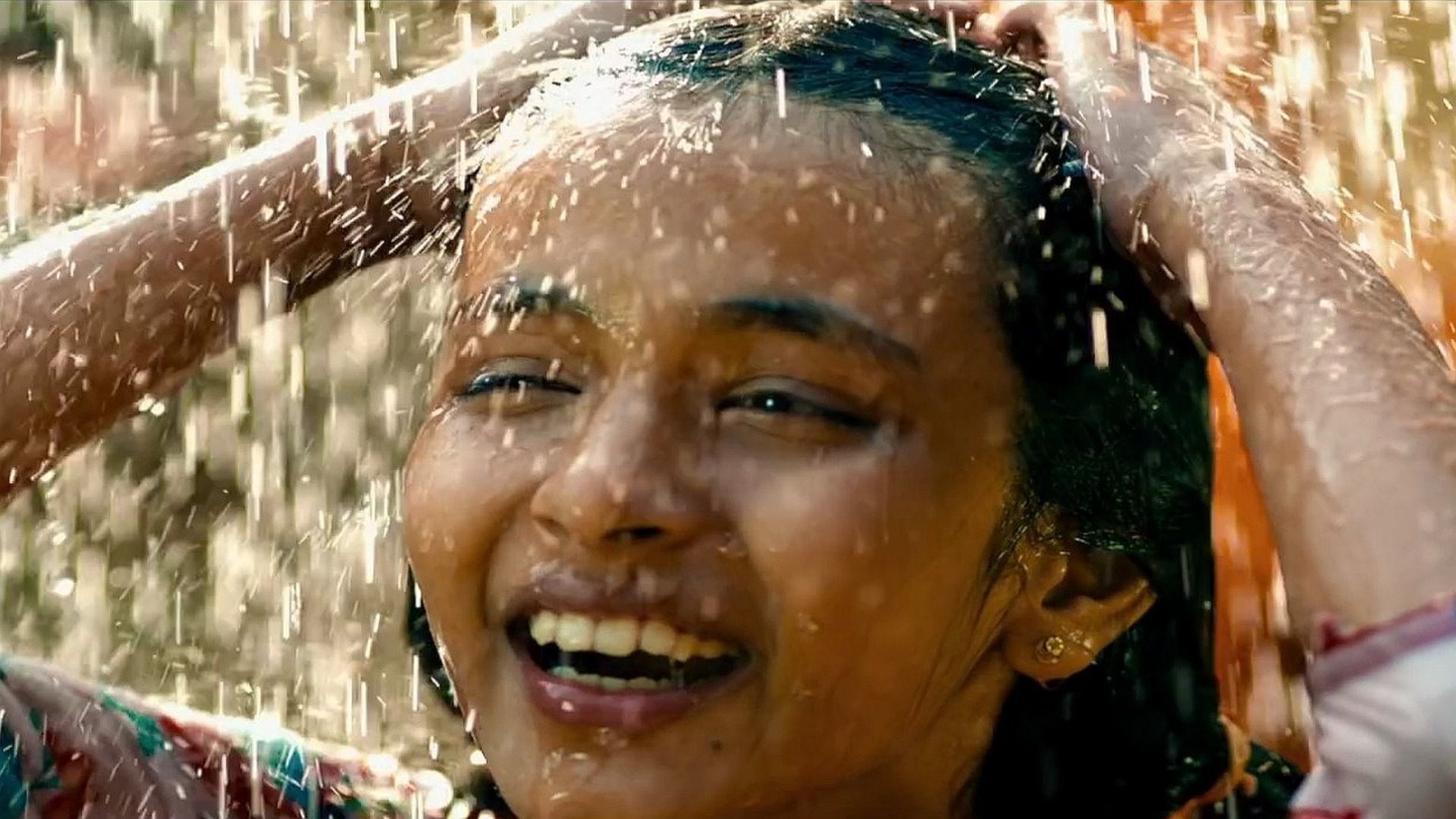 The Tiger Hunter Movie Streaming Online Watch on Netflix