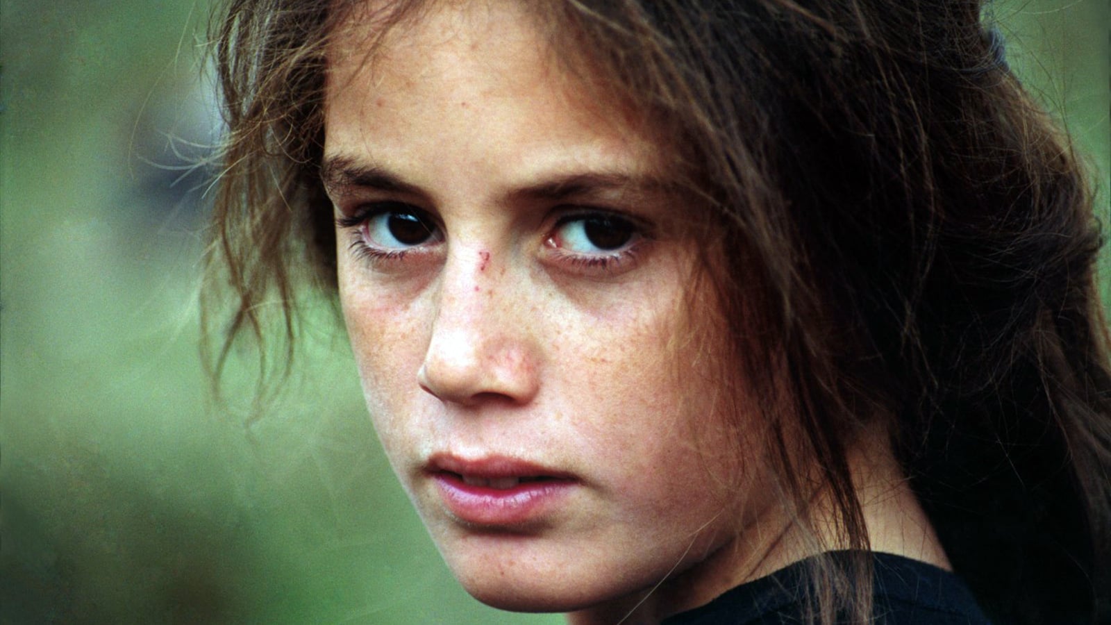 Turtles Can Fly Arabic, Kurdish Movie Streaming Online Watch