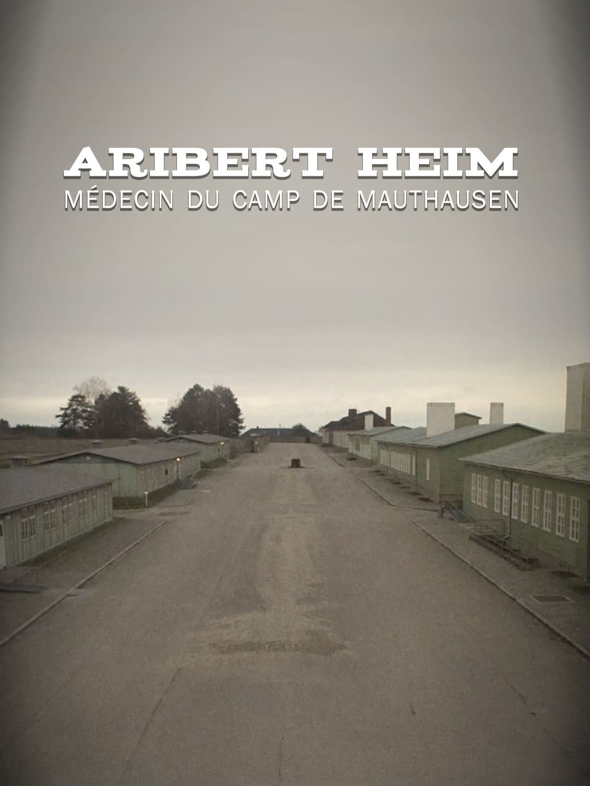Aribert Heim, médecin du camp de Mauthausen Movie Streaming Online Watch