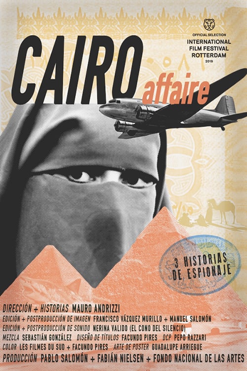 Cairo Affaire Movie Streaming Online Watch