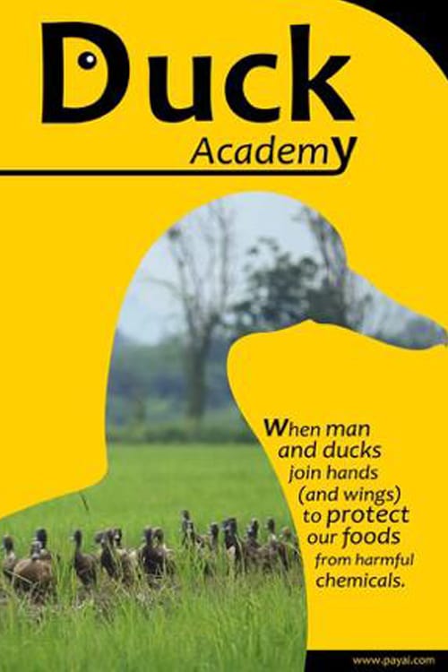 Duck Academy Thai Movie Streaming Online Watch