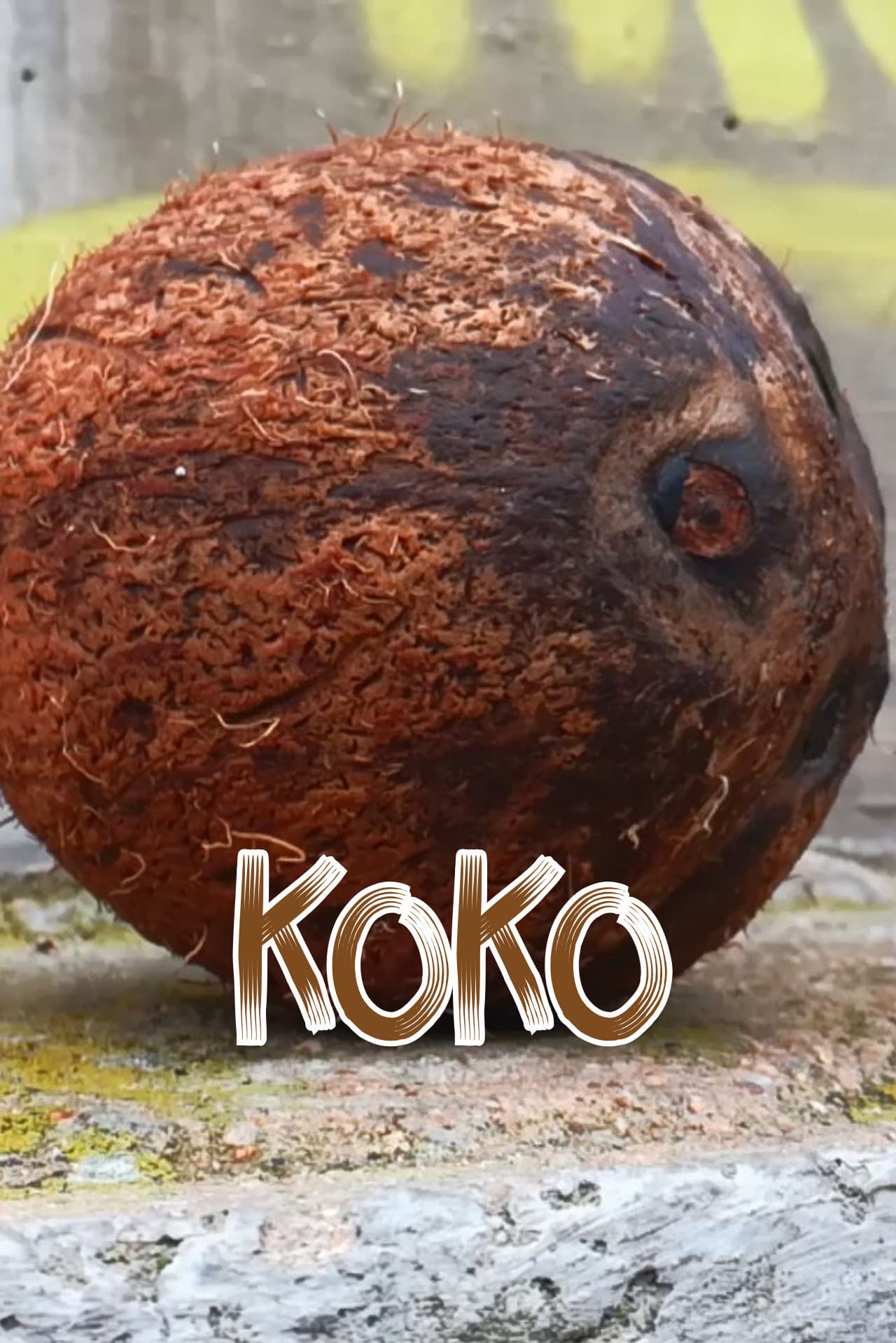 Koko Movie Streaming Online Watch