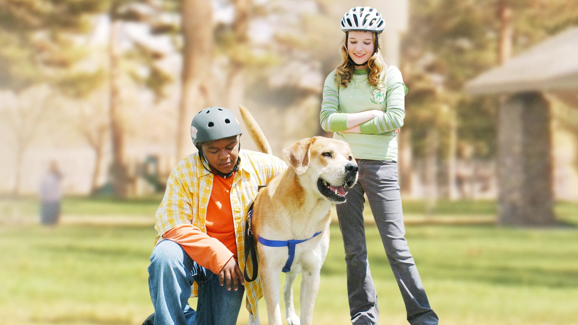 Life Is Ruff Movie Streaming Online Watch