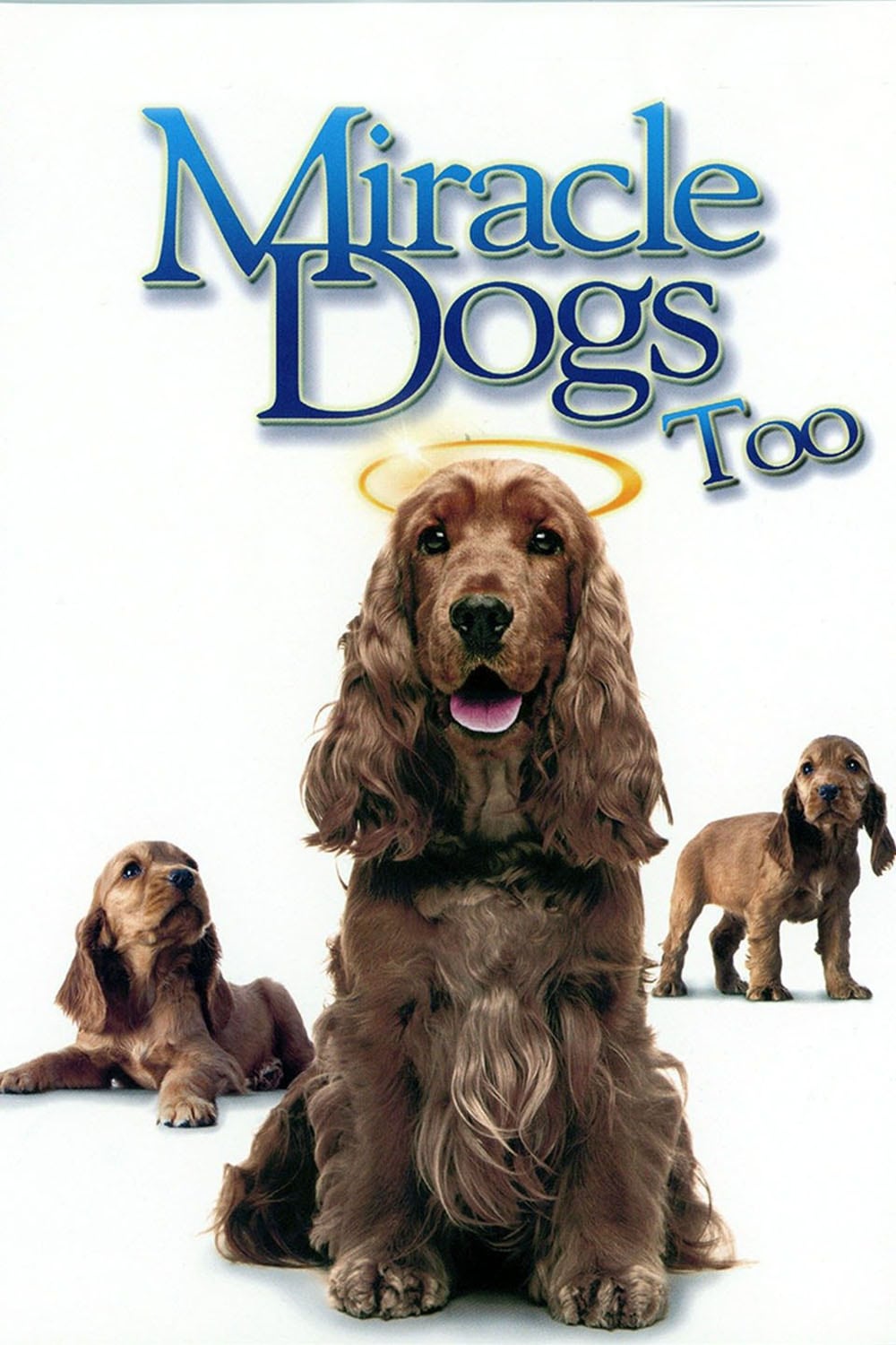 Miracle Dogs Too Movie Streaming Online Watch