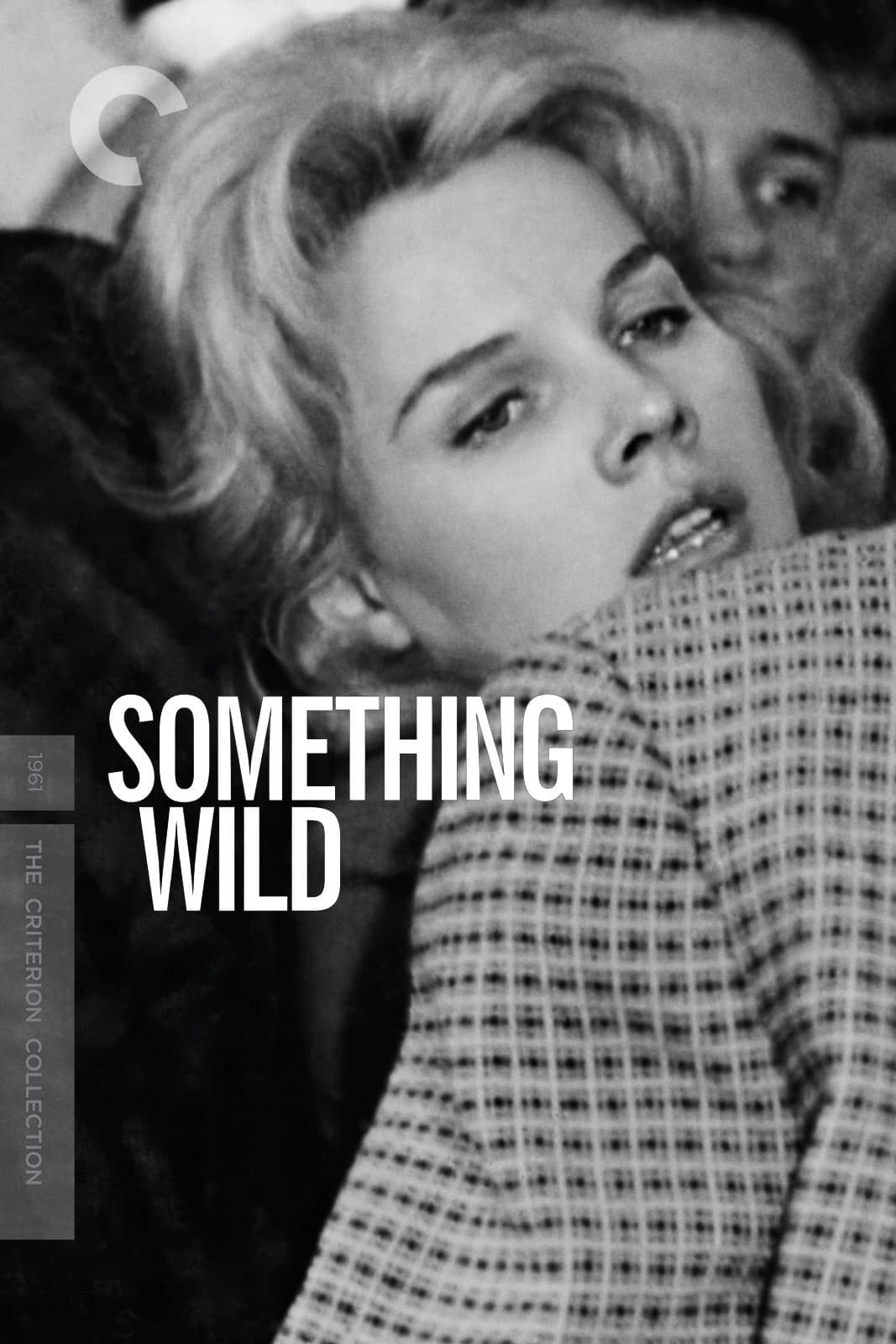 Something Wild Movie Streaming Online Watch