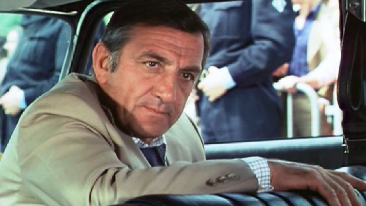 The French Detective French Movie Streaming Online Watch