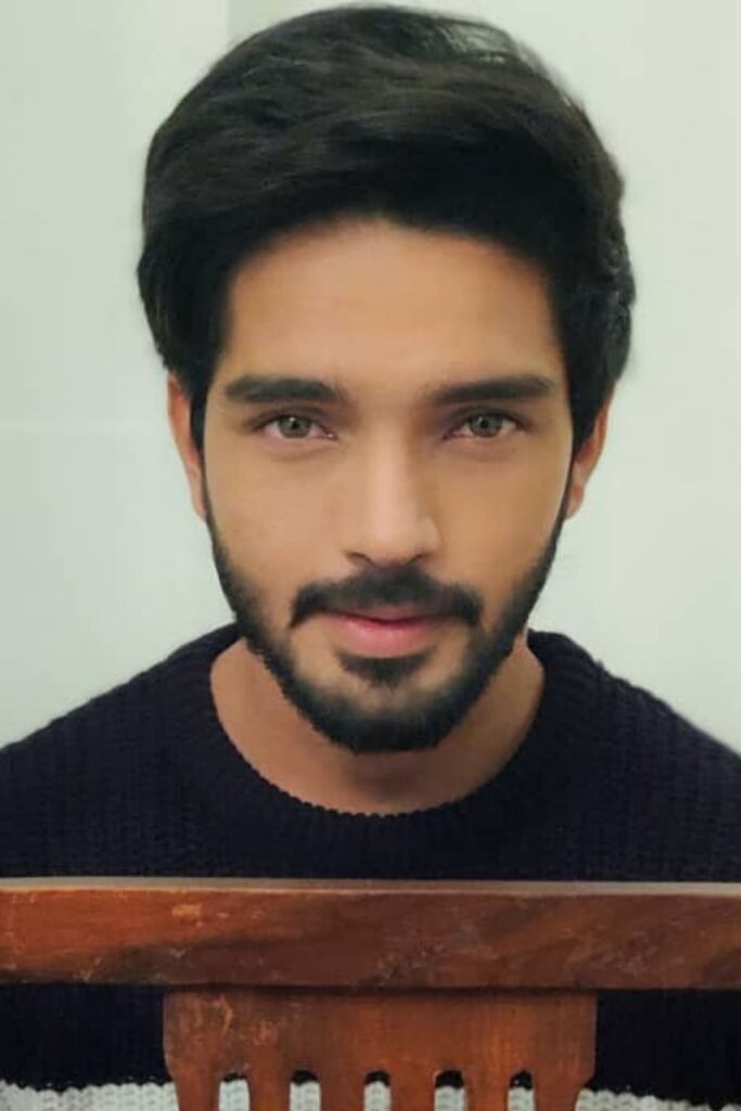 Harsh Rajput Top Must Watch Movies of All Time Online Streaming