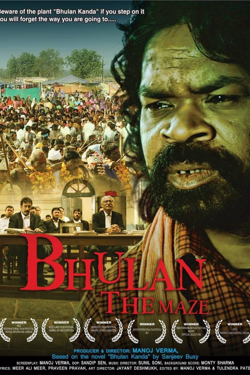 Bhulan The Maze Movie Streaming Online Watch