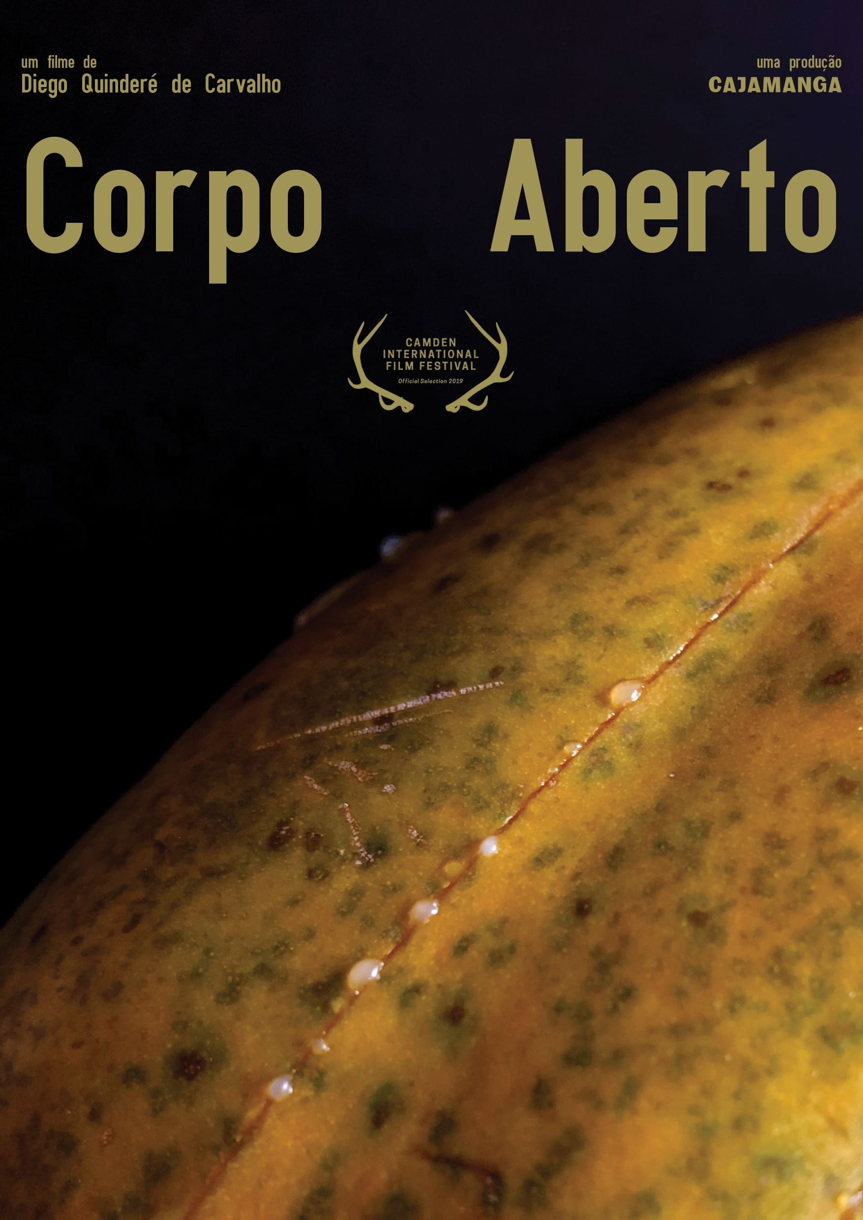 Corpo Aberto Portuguese Movie Streaming Online Watch