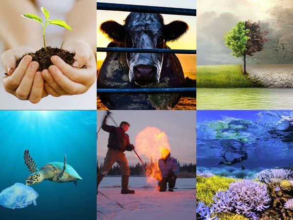 6 Must Watch Climate Change Documentaries That One Shouldn't Miss!