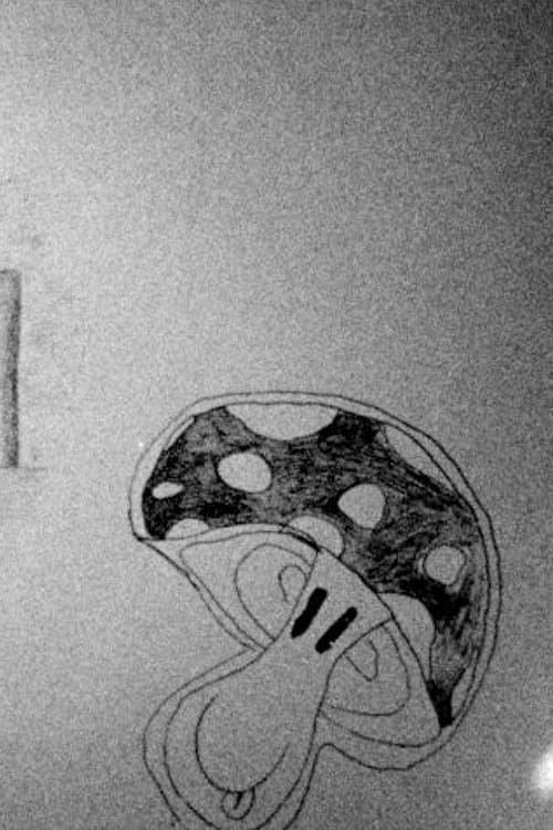 Shadow Codex Finnish Movie Streaming Online Watch