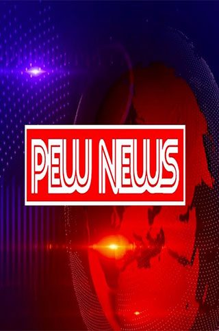 Pew News Swedish Web Series Streaming Online Watch