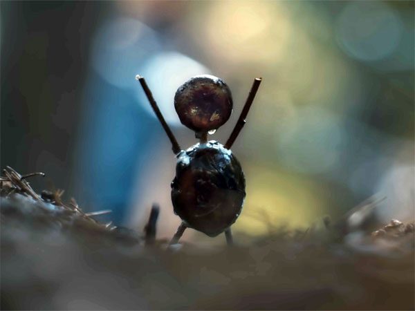 Riveting First Look Of Netflix’s ’The Chestnut Man’ Is Here!