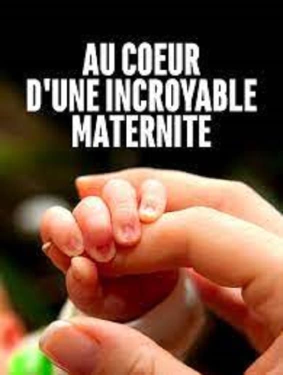 Au coeur d'une incroyable maternité French Movie Streaming Online Watch
