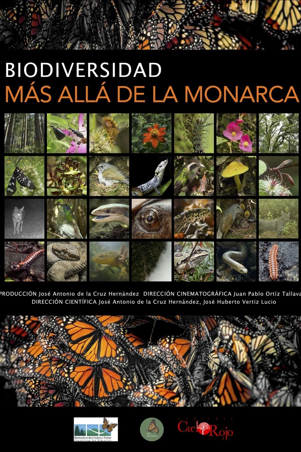 Biodiversidad, más allá de la monarca Spanish Movie Streaming Online Watch