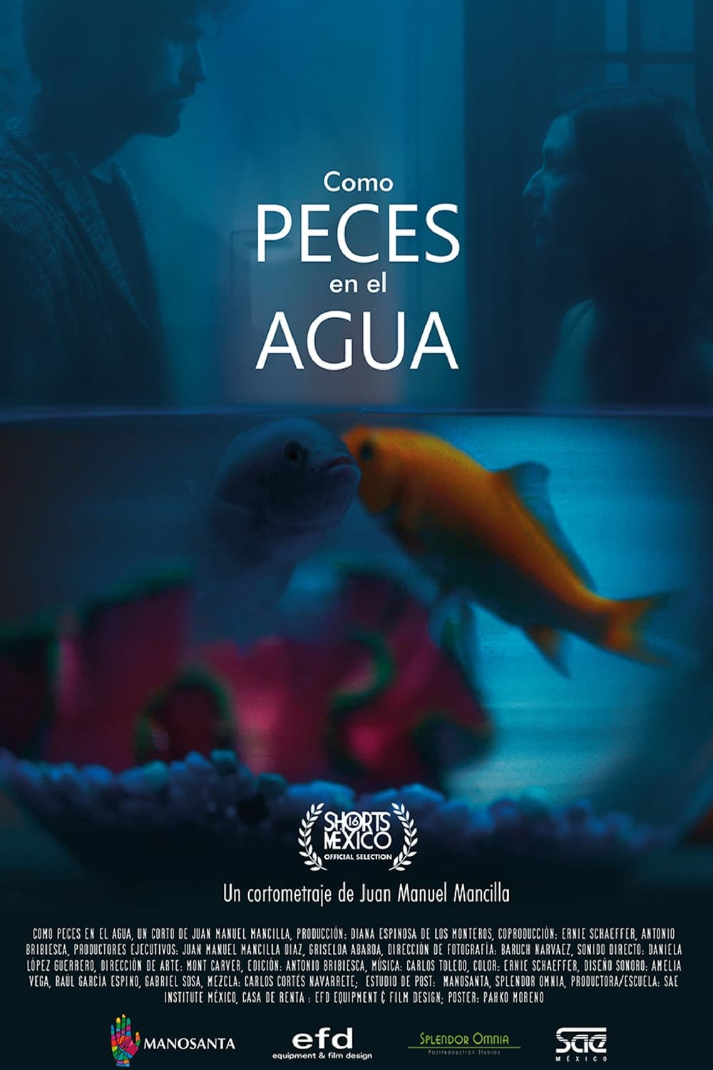 Como Peces en el Agua Movie Streaming Online Watch