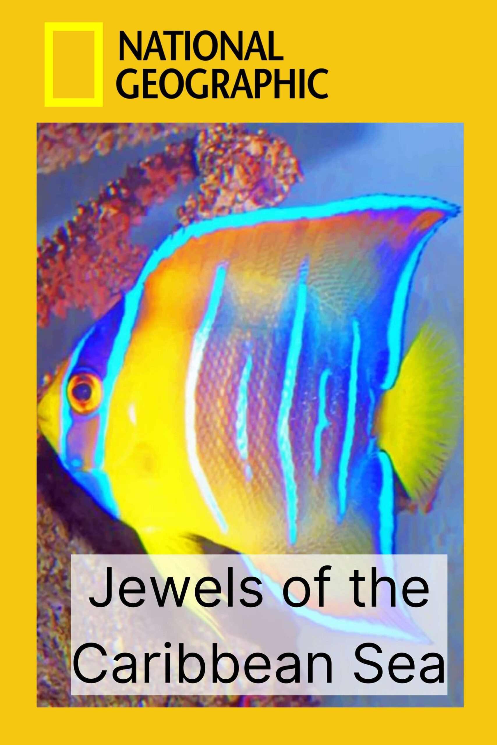 Jewels of the Caribbean Sea Movie Streaming Online Watch