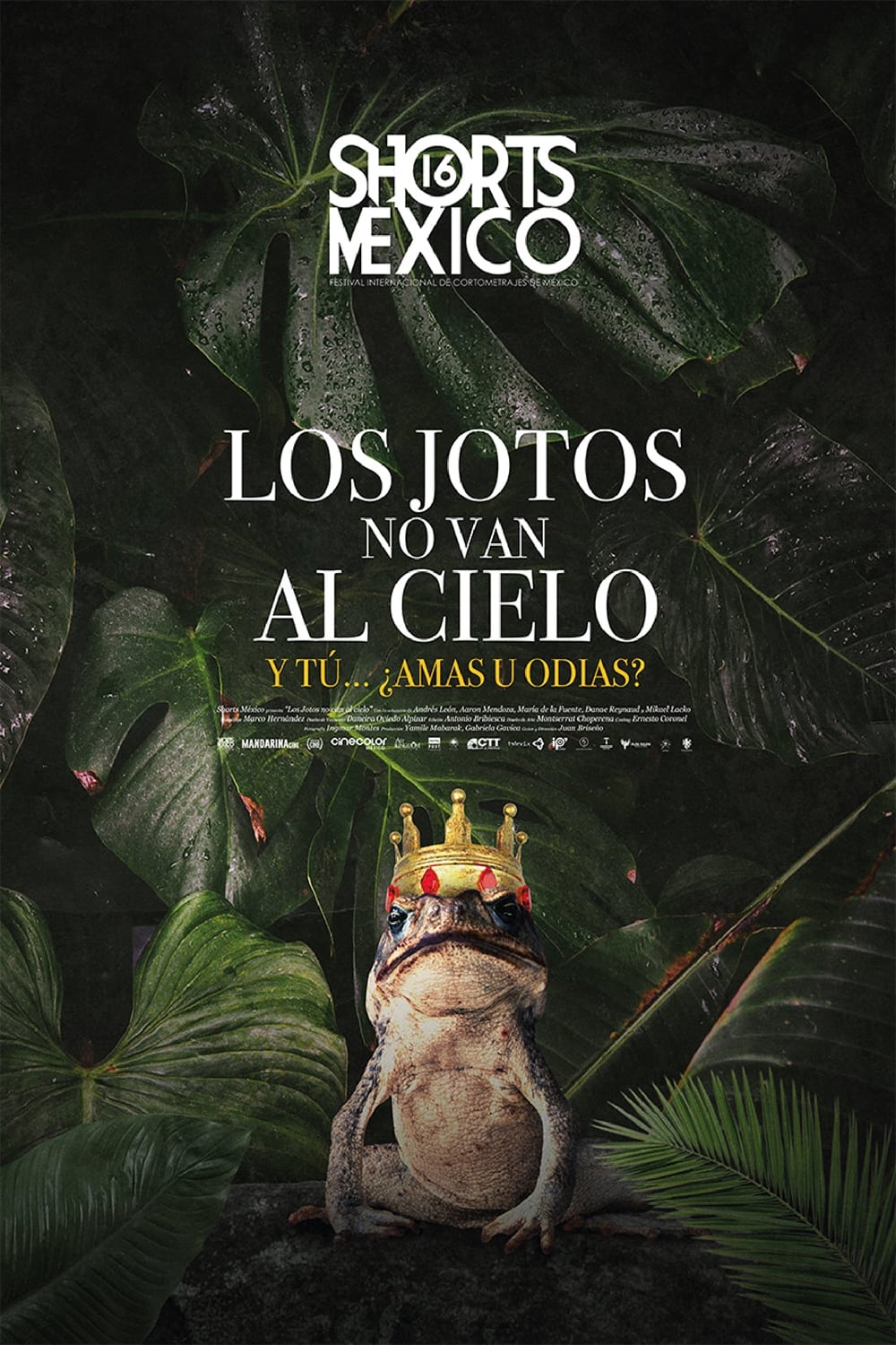 Los jotos no van al cielo Spanish Movie Streaming Online Watch