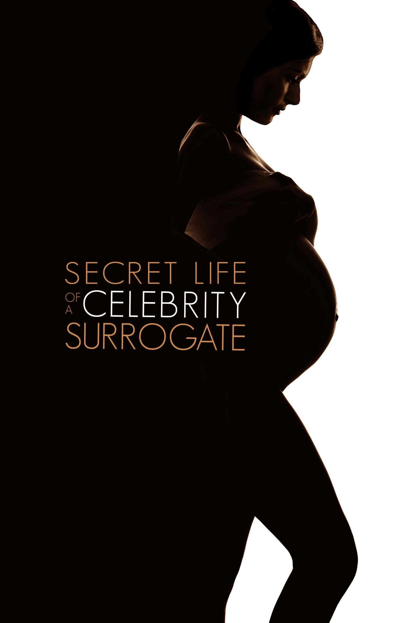Secret Life Of A Celebrity Surrogate Movie Streaming Online Watch