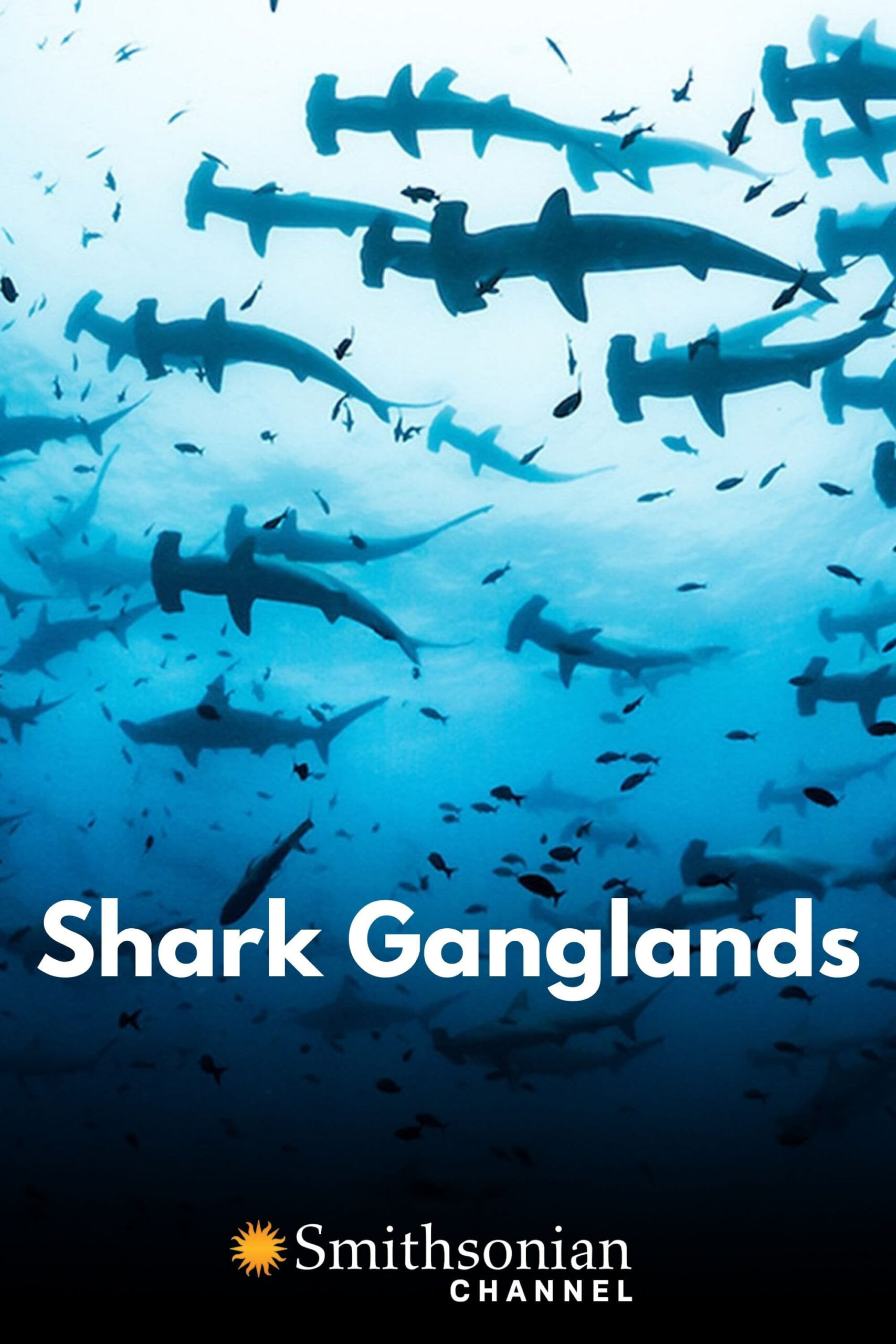Shark Ganglands Movie Streaming Online Watch