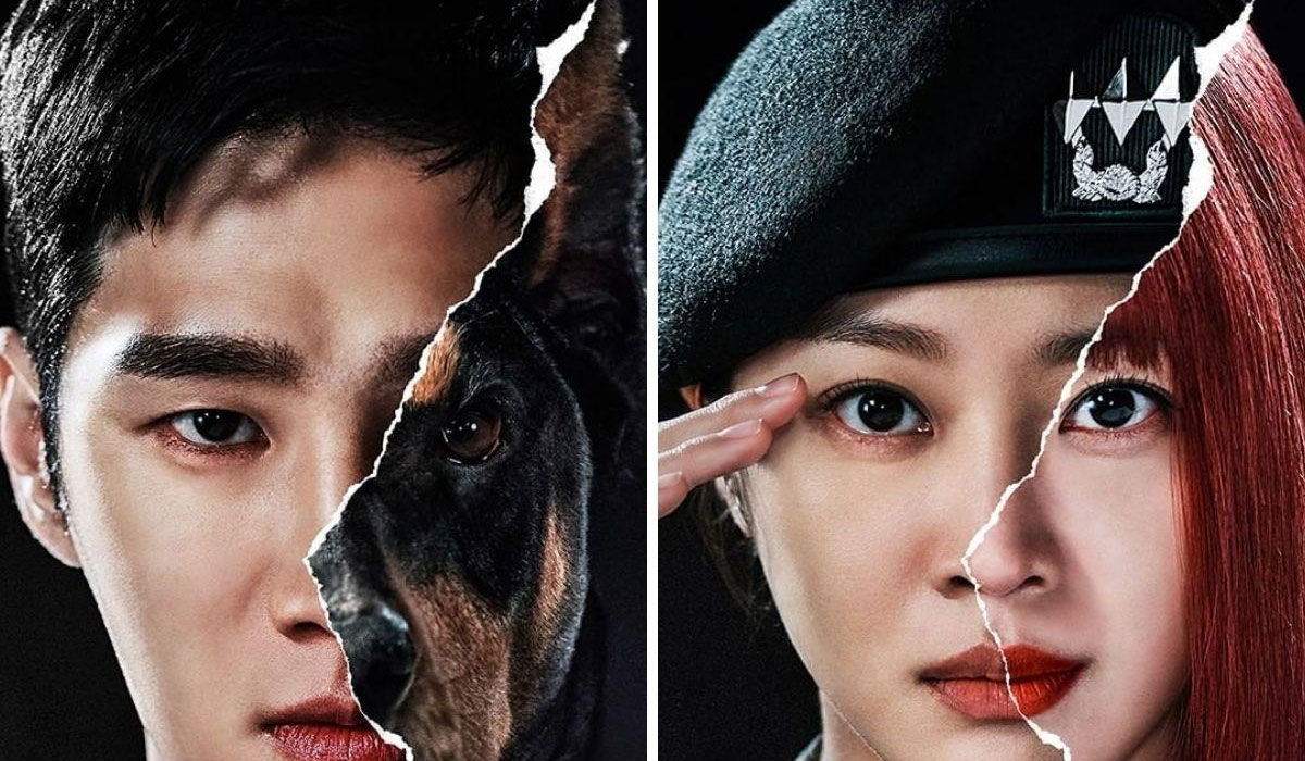 Military Prosecutor Doberman Korean Web Series Streaming Online Watch ...