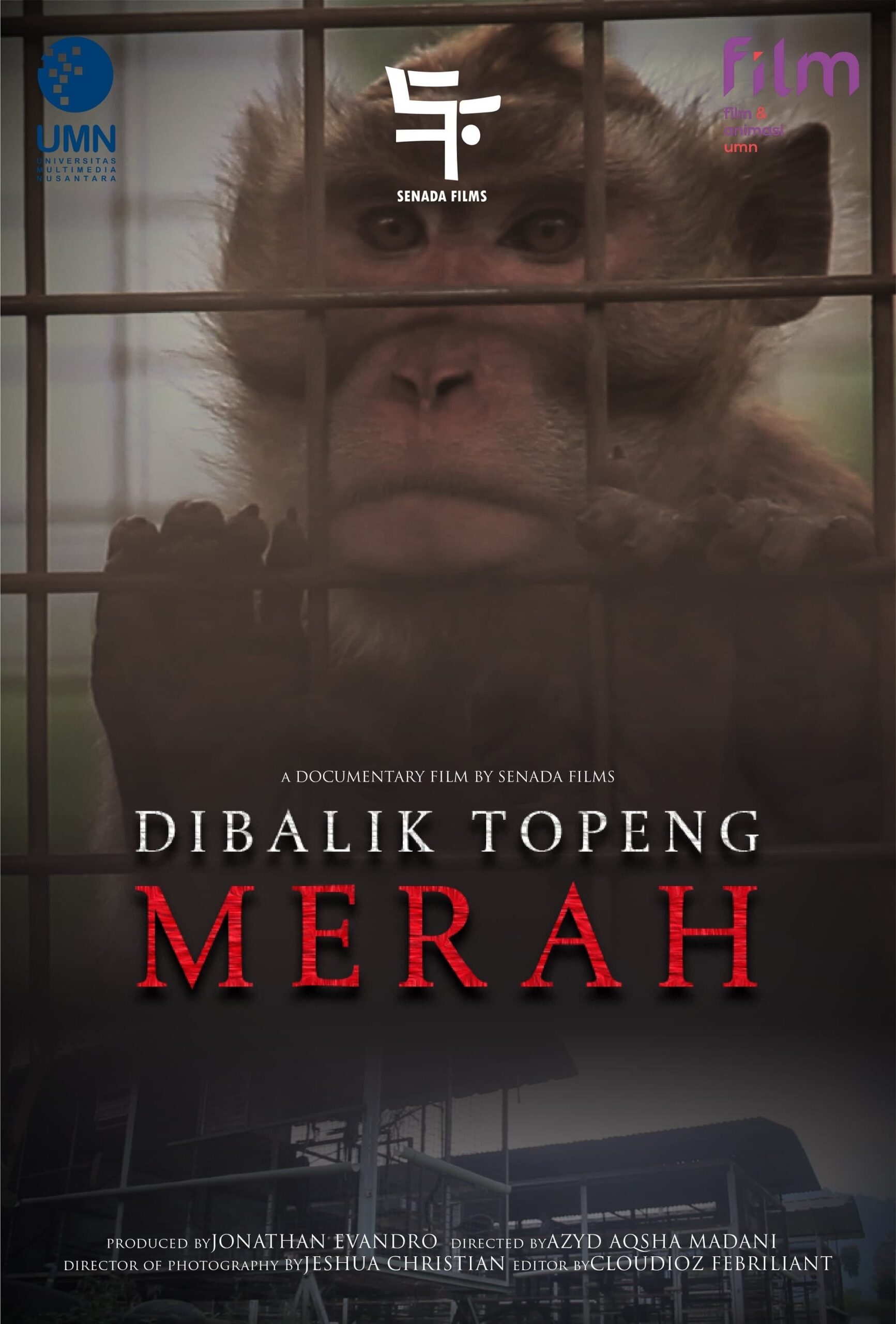 Di Balik Topeng Merah Indonesian Movie Streaming Online Watch