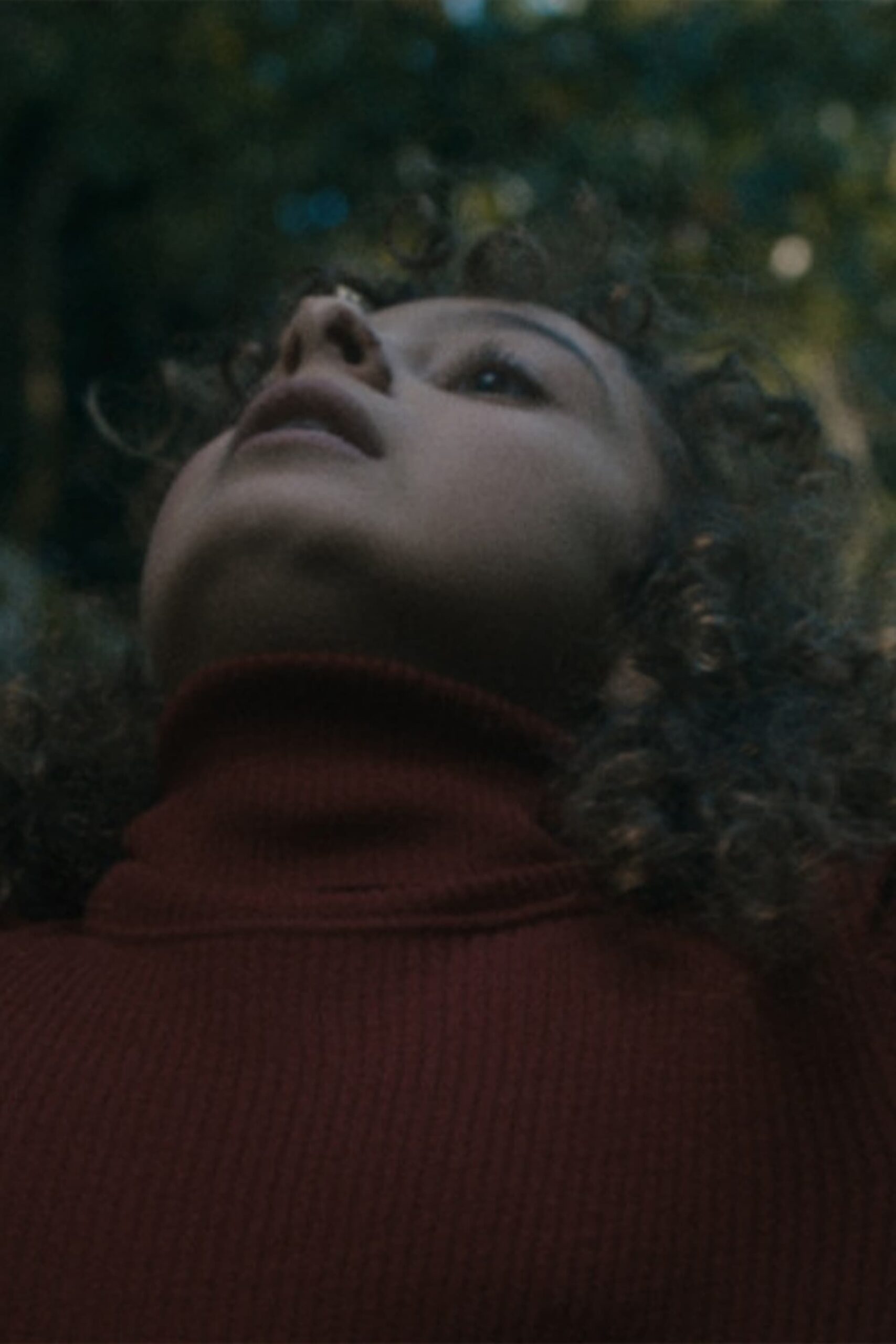 La Verrue French Movie Streaming Online Watch