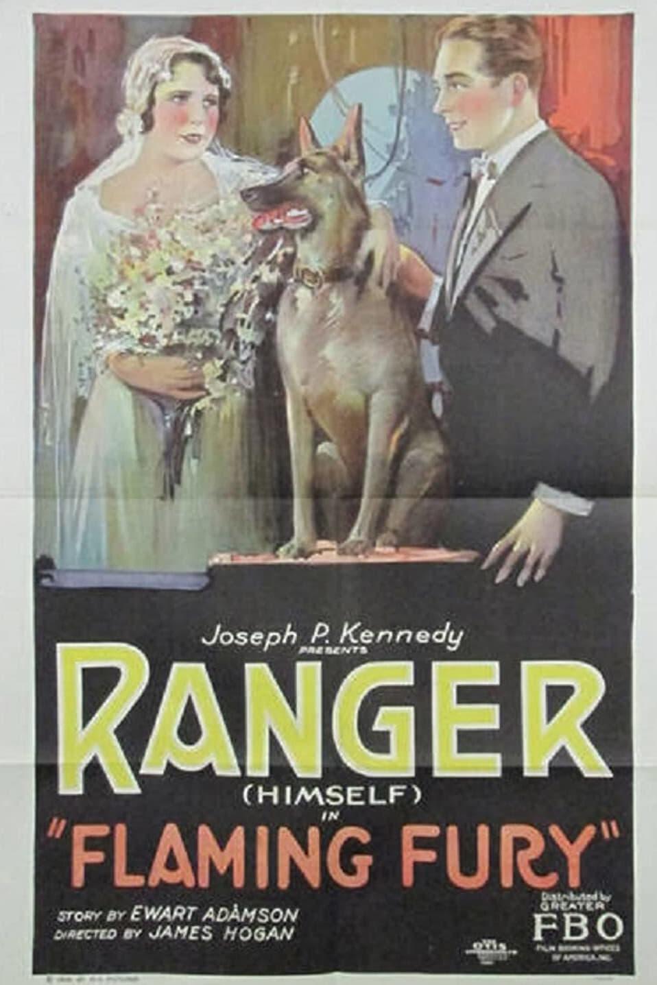 Flaming Fury Movie Streaming Online Watch