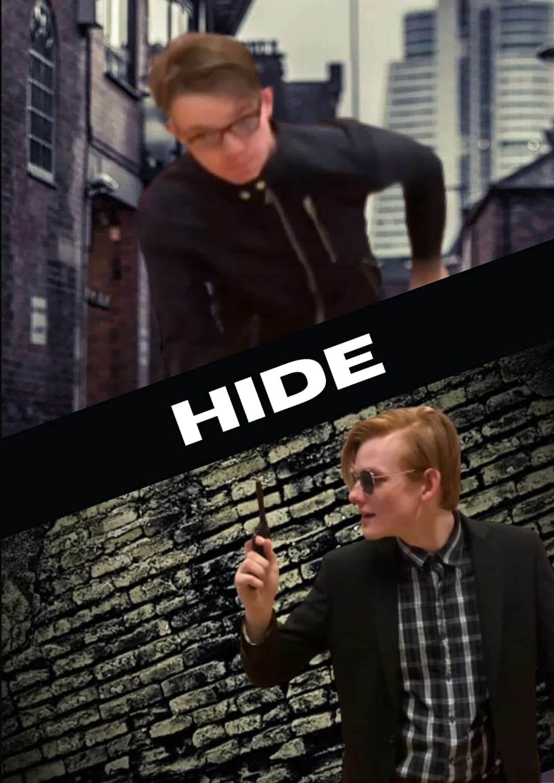Hide Icelandic Movie Streaming Online Watch