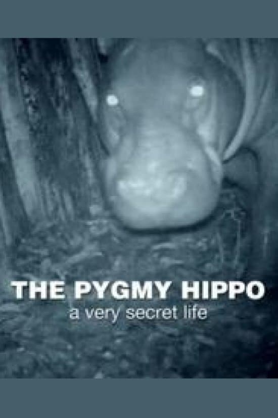 The Pygmy Hippo: A Very Secret Life Movie Streaming Online Watch