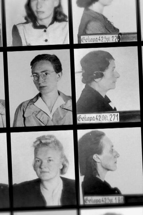 The Women Who Fought Hitler Movie Streaming Online Watch