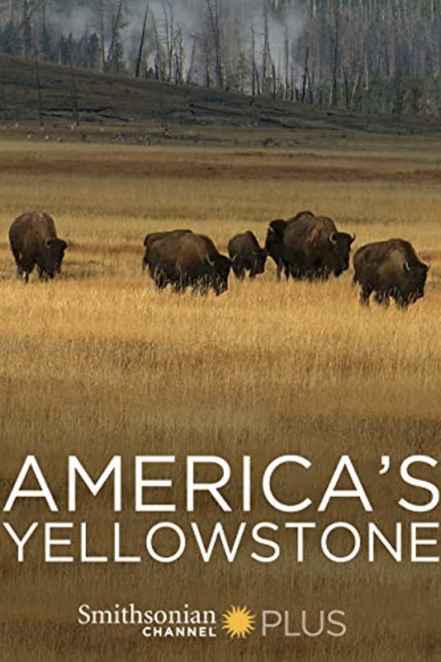 America’s Yellowstone Movie Streaming Online Watch