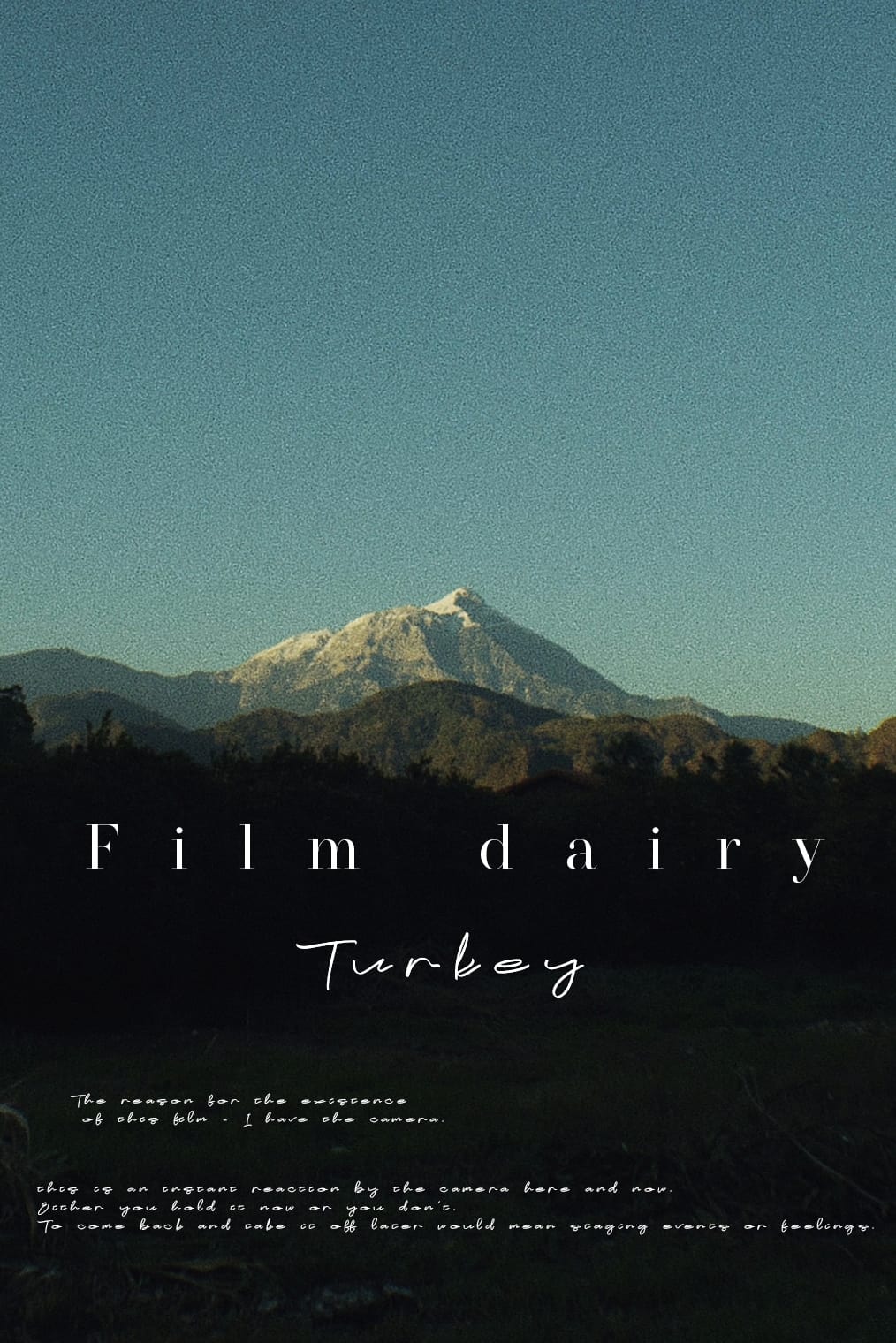 Film Dairy. Turkey Movie Streaming Online Watch
