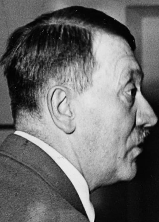 Le secret médical d'Hitler Movie Streaming Online Watch